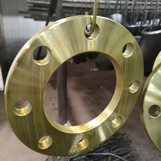 ANSI B16.5 Class 300 CS Steel Socket Weld Pipe Flanges Corrosion Protection